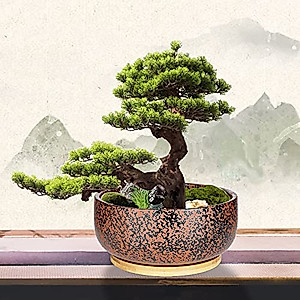 G EPGardening 8 Inch Terracotta Succulent Planter Pot with Drainage Hole Round Shallow Bonsai Planter Pot with Bamboo Saucer Flower Pot for Indoor Plants Black