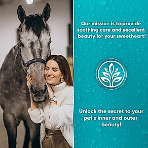 Silver Pet Wound Spray | Dog Wound Spray | Cat Wound Spray | Horse & Chicken Wound Spray + Chlorhexidine | Cat & Dog Itch Spray | Wound Spray for Cats | Wound Spray for Dogs, Cats, Horses | 4 oz