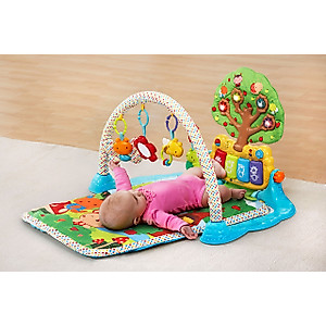 VTech Baby Lil' Critters Musical Glow Gym (Frustration Free Packaging)