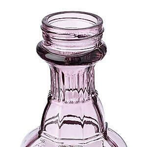 More Birds Amethyst Jewel Hummingbird Feeder, Glass Hummingbird Feeders for Outdoors, 5 Feeding Stations, 20 Ounces