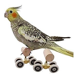 Mini Roller Skates for Parrot Double Row Toy Pet Intelligence Training Kit Supplies for Smaller Parrot