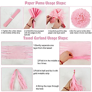 Little Pumpkin Baby Shower Decorations, Girl Pink Pumpkin Baby Shower Decorations, A Little Sweet Pumpkin is On The Way Backdrop, Pink Pumpkin Baby Shower Party Supplies