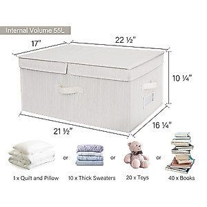 StorageWorks Storage Box with 3-Pack Closet Storage Bins