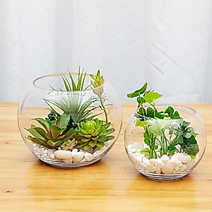 WGV Bowl Glass Vase, Diameter 8", Height 6", Open Width 5", (Multiple Sizes Choices) Clear Bubble Planter Terrarium Fish Bowl for Wedding Event Home Decor, 1 Piece (VBW0008A)