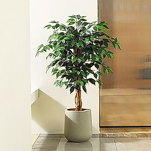 SOGUYI 4ft Artificial Ficus Tree with Natural Wood Trunk, Silk Fake Ficus Tree in Plastic Nursery Pot, Faux Plant for Office Home, Indoor Outdoor Decor, 1 Pack