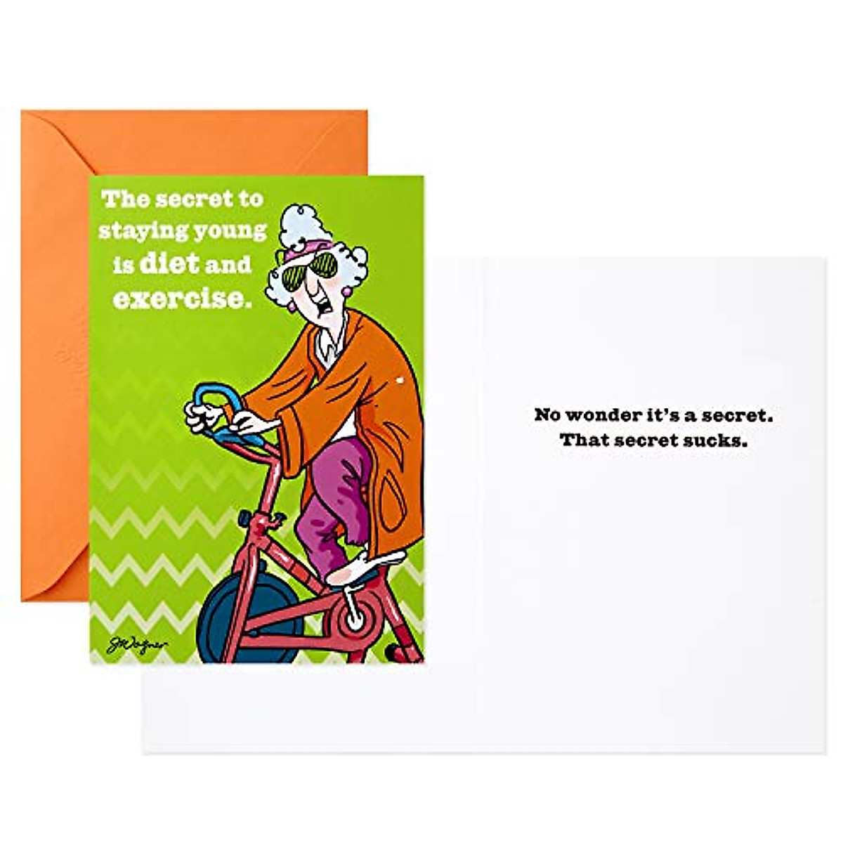 Hallmark Shoebox Maxine All Occasions Card Assortment (6 Cards with Envelopes), Model:1599RZG1001