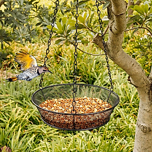 FLINTER Hanging Bird Feeder, Bird Feeder Hanging for Garden Yard Outside Hanging Bird Feeder Tray - Metal Mesh Platform Feeders for Birds Outside Outdoors Hanging for Attracting Birds - Genuine