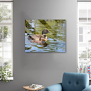 XEAJPJMGBQ Tempered Acrylic Glass Wall Art Common loon Modern Acrylic Artworks Picture Print Accent Decor for Living Room Bedroom Office Free Floating