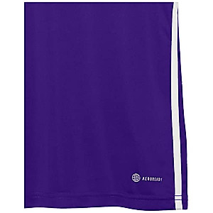 adidas Kids' Tabela 23 Jersey, Team Collegiate Purple/White, Large