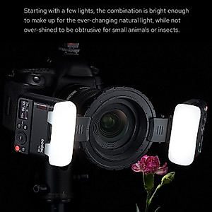 Godox MF12 MF12-K2 Macro Flash Off-Camera TTL Flash Speedlite 12W, 2.4G Wireless Control,TTL/M Mode,Built-in 3.7V/6.29W Lithium Battery, Compatible with Nikon, Sony, Canon, Fuji, Olympus and Panasonic