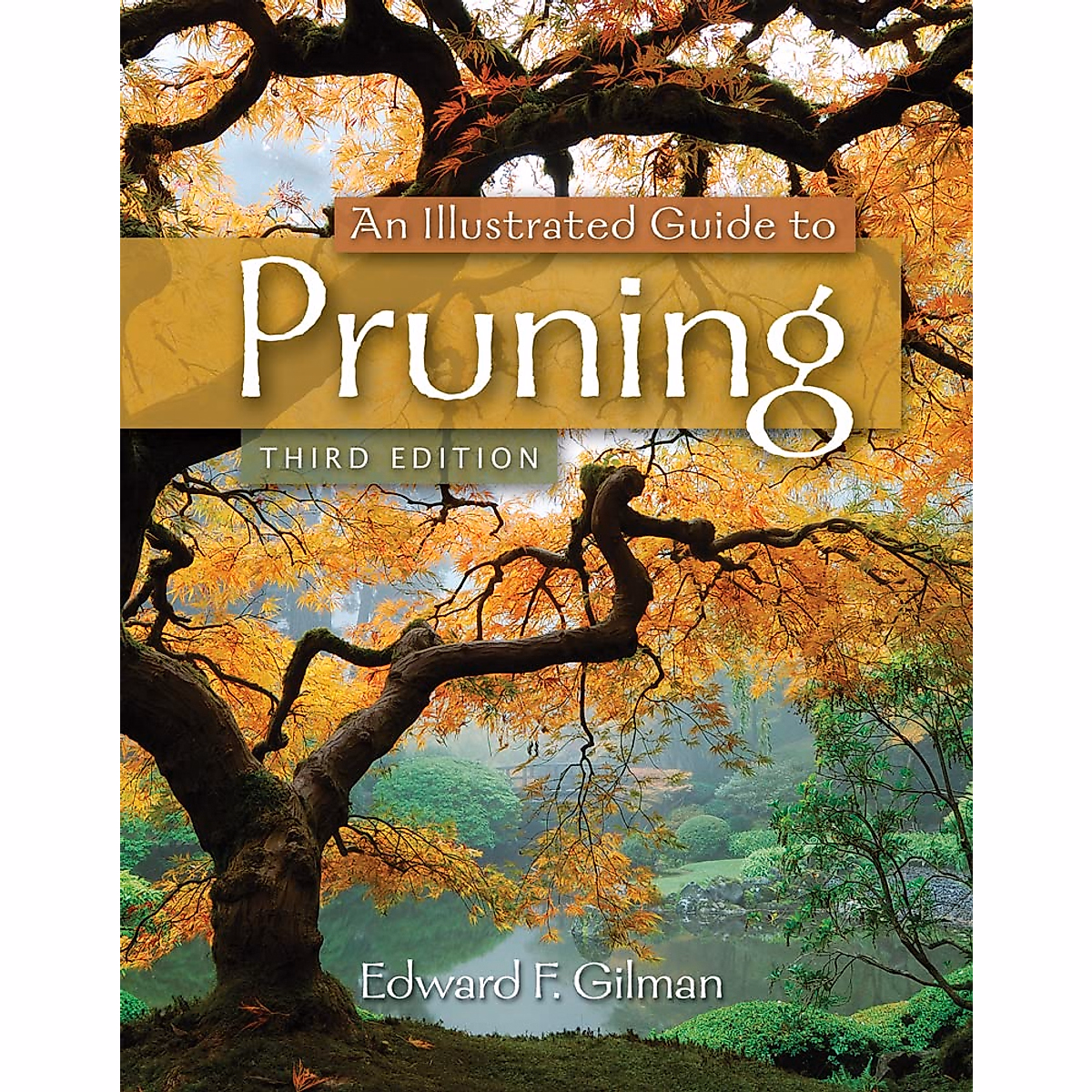 An Illustrated Guide to Pruning