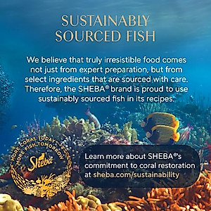 SHEBA PERFECT PORTIONS Cuts in Gravy Wet Cat Food Trays (12 Count, 24 Servings), Signature Tuna and Roasted Chicken Entrée, Easy Peel Twin-Pack Trays