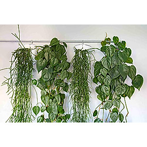 S Hooks for Hanging, Stainless Steel S Hooks, S Shaped Heavy Duty Hanging Hanger Closet Hooks for Jeans, Kitchen, Bathroom, Plants, 10 Pack, 4.3"