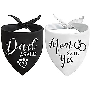 Dad Asked and Mom Said Yes Dog Bandana, Wedding Engagement Photos Bridal Shower Gift Puppy Dog Pet Bandanas, Pet Accessories for Dog Lovers, Maid of Honor Wedding Dog Bandana, Pack of 2
