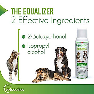 Vetoquinol Equalizer Pet Carpet Cleaner, Stain Remover & Odor Eliminator, Carpet Spot Cleaner, 20oz