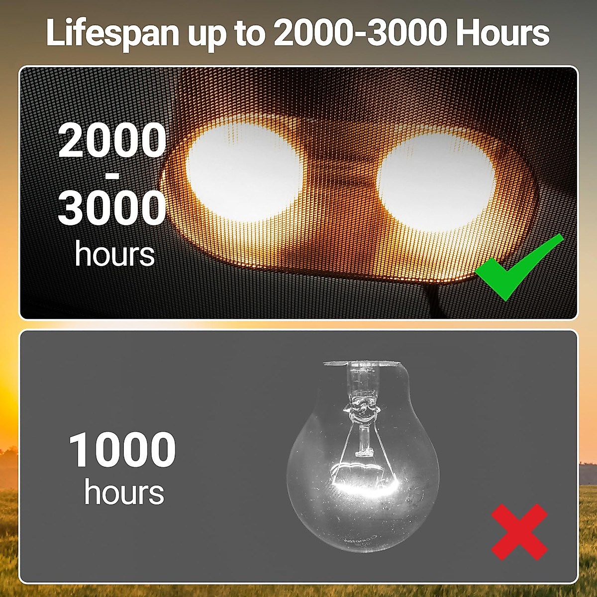 REPTI ZOO 50W Reptile Heat Lamp Bulb,2 Pack Intense Spot Basking Light,UVA Daylight Heating Lamp Bulb for Reptile & Amphibians & Chicken Brooder,Bearded Dragon, Lizard, Tortoise