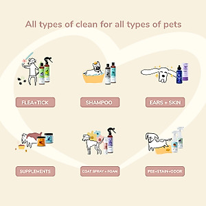 Shampoo + Conditioner Kit 1