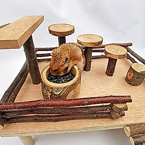POPETPOP Hamster Wooden Food Bowl for Hedgehog Guinea- Pig Gerbil Squirrel Reptiles Chinchilla Ceramic Feeding Dish (Random Color)