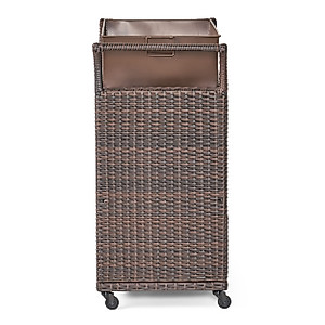 Christopher Knight Home Ravenna Barcart, Multibrown
