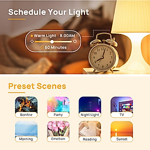 Linkind BR30 Smart Light Bulbs, WiFi Flood Light Bulbs Compatible with Alexa & Google Home, RGBTW Color Changing Light Bulb, 1800K-6500K Tunable White, E26 8W Equivalent 60W, 2.4Ghz WiFi only, 4 Pack