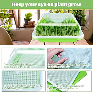 Legigo 5 Pack Seed Sprouter Trays with Lids- Soil-Free Cultivation Germination Tray, BPA Free Micro Greens Growing Trays Seed Sprouting Trays Kit with Germinating Paper for Wheatgrass, Beans and More