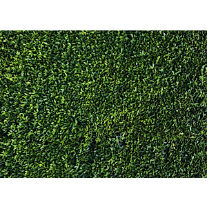 10x8FT Soft Fabric/Polyester Nature Spring Green Leaves Theme Photo Background Wedding Birthday Party Newborn Baby Shower Photography Backdrops Zoo Decor Shoot Props Bannner