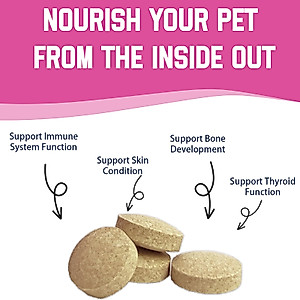 Pet Glucosamine Chondroitin MSM Joint Supplement for Dogs & Cats, Hip & Joint Pain Relief Tablets with Vitamin C, A & D3, 150 Tablets