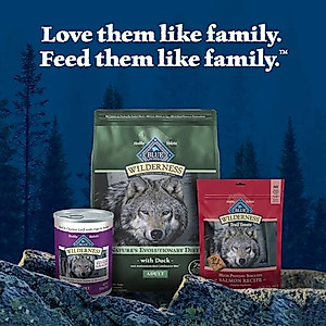 Blue Buffalo Wilderness Natural High-Protein Dry Food for Adult Dogs, with Wholesome Grains, Duck, 28-lb bag.