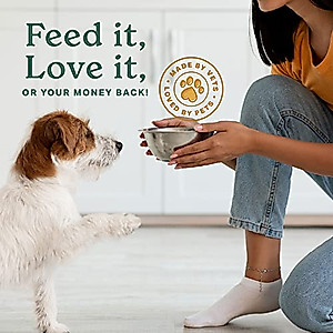 The Missing Link Hip & Joint Probiotics Superfood Supplement Powder for Dogs - Omegas 3&6, Fiber, Glucosamine, Chondroitin, MSM, HA - Cartilage & Bone Health, Joint Mobility & Flexibility - 5lb