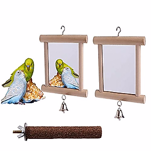 WoYous Bird Cage Mirror, 2 Pieces Parrot Double Side Mirror Swing Wooden Hanging Bird Mirror and Bird Prech for Little Macaws Lovebird Cockatoo Parakeet Finch Cockatiel (C)