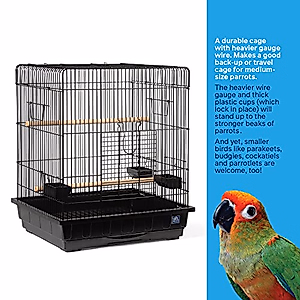 Prevue Hendryx Square Roof Parrot Cage, Black (SP25217B/B)