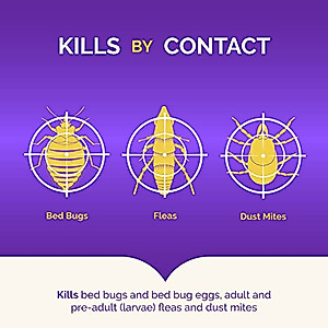 Hot Shot Ready-to-Use Bed Bug Killer Spray, Kills Bed Bugs and Bed Bug Eggs, Kills Fleas and Dust Mites, 32 Ounce (Pack of 2)
