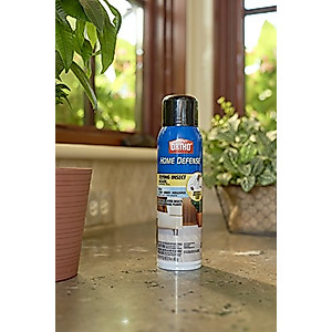 Ortho Home Defense Flying Insect Killer Aerosol 16 oz