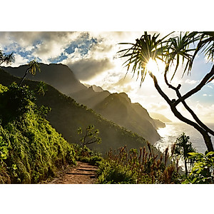 Ravensburger Kalalau Trail Kauai Hawaii 1000 Piece Jigsaw Puzzles for Adults & Kids Age 14 Years Up - Landscape Puzzle [Amazon Exclusive]