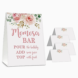 Momosa Bar Supplies Kit - Floral Momosa Bar Sign - Blush Pink Table Place Cards - Bridal Shower, Graduation Party, Bubbly Bar, Mimosa Bar, Birthday Brunch, Engagement Party Decor(01)