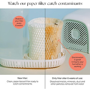 Canopy Original Bedside Humidifier Filters, Pack of 3 Filters, Replacement Filters - Compatible with Canopy Bedside Humidifiers, Made with Wood Pulp, Paper Filter, Replace Every Six Weeks