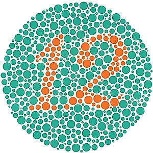 Ishihara Test Card Book, Color Vision Test Book with 38 Plate, Distinguish Between Colorblind Patients, Hidden Numbers and Category Design, Used to Judge The Degree of Color Vision Deficiency