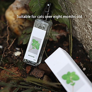 Kitty Joy Herbal Cat Joy, Cat Cupid Spray, Cuddles and Meow Cat Cupid Spray, Cat Cupid Spray Joy Cat, Celery Pets Herbal Cat Joy, Indoor Cat Training Spray with Catnip, Anti Scratch Cat Spray (3PCS)