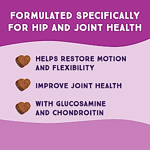 SuchGood Hip and Joint + Skin and Coat Dog Treats - Support Chews for All Breed Sizes and Ages, Glucosamine and Chondroitin + Salmon and Flaxseed Oil (Chicken Flavor, 2 Packs)