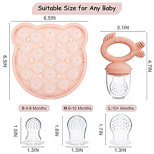 Dilovely Baby Fruit Feeder & Babies Food Freezer Trays with Lid, Pacifier Feeder, Silicone Food Molds Trays for Homemade Baby Food, Frozen Breast Milk Cube, BPA Free Pink