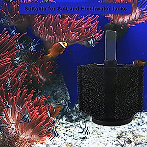Premium Course Aquarium Sponge Filter - For Greater Intervals Between Cleaning! - Fits 10-75 Gallon Tanks - Fish Tank Sponge Filter - Compare To ATI Pro or Aquarium Co-Op Filter - High Quality