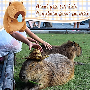 Simgoing 13 Inch Capybara Stuffed Animals Capybara Plush Toy Capybara Plushie Soft and Comfortable Brown Capybara Doll Pillow for Girls and Boys, Home Decoration, Birthday Gift (Orange)(Snot)