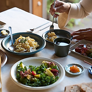 TAMAKI Air Stack T-954119 Curry & Pasta, Mocha, Diameter 8.7 x Height 1.6 inches (22 x 4 cm), Microwave & Dishwasher Safe