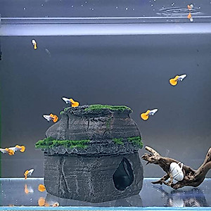 PINVNBY Aquarium Rock Cave, Hollow Fish Tank Ornament, Betta Hiding Hut Resin Mountain Landscape with Moss for Shrimps Guppies Cichlids Playing Resting