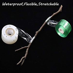 HAINANSTRY Grafting Tape 2 PCS, Stretchable Garden Grafting Tape Plants Repair Tapes for Floral Fruit Tree and Poly Budding Tape - Green & White