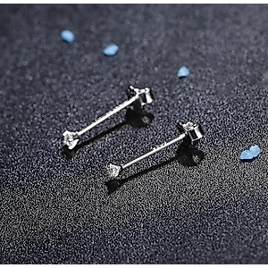 Sllaiss 2mm Sterling Silver Austria Zirconia Stud Earrings for Women Men, Platinum/Gold/Rose Gold Plated Tiny CZ Studs