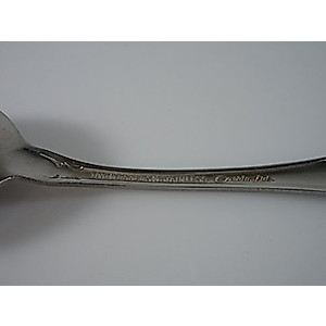 Arbor Rose/True Rose by Oneida, Stainless Dinner Fork