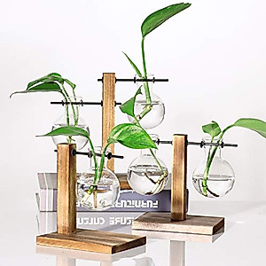 Kingbuy Hydroponic Glass Vase Vintage Desktop Plant Terrarium Planter Bulb Vase Water Planting Propagation Vase Planters Hydroponics Plants with Retro Wooden Stand Home Garden.