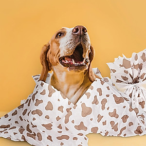 Hi Sasara 50 Sheets Brown Cow Print Tissue Paper,14 x 20 inch,Brown Cow Print Tissue Paper for Gift Bags,Brown Cow Print Tissue Paper for Cow Party