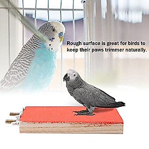 Hamiledyi 5 Pcs Parrot Perch Stand,Natural Wood Bird Perch Stand Platform Paw Grinding Sticks Cage Accessories Exercise Toys for Budgies Parakeets Cockatiels Conures Lovebirds